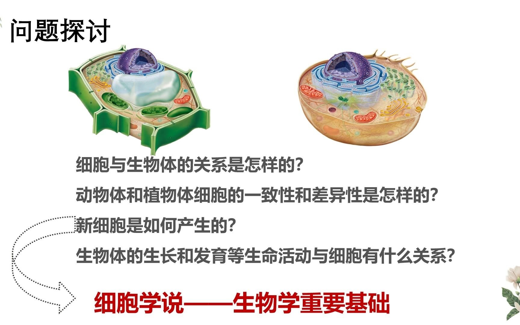 1.1细胞是生命活动的基本单位