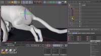 C4D动物动画高级技术训练视频教程