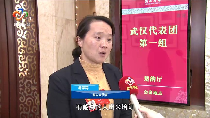 湖北将在全国率先制定乡村振兴促进条例