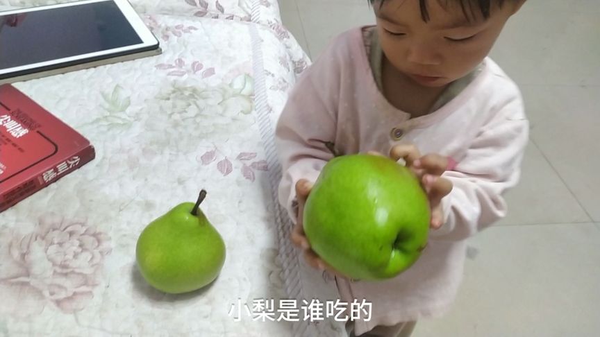 大梨小梨,1岁7个月宝宝是怎么选择的?让妈妈吃了哪个梨
