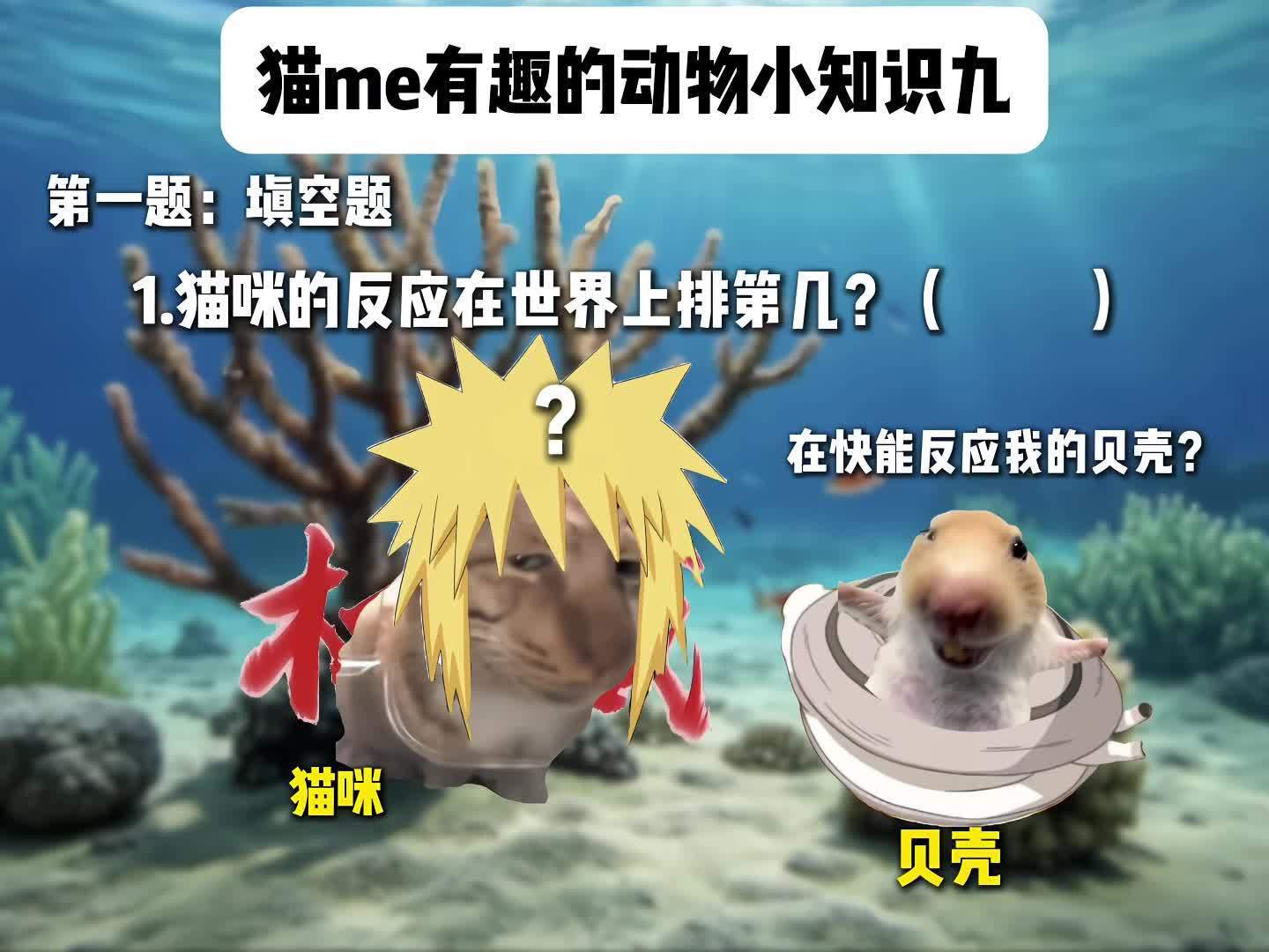 猫me有趣的动物小知识九