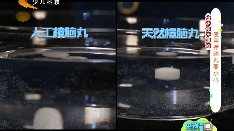 人工合成樟脑丸对人有很大伤害,两个实验告诉你如何分辨樟脑丸