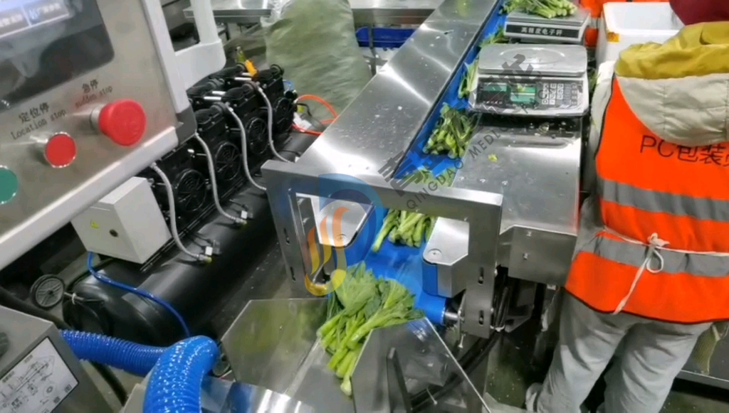 菜心蔬菜往复式包装机 叶菜青菜根茎类蔬菜黄瓜茄子甘蔗自动包装机...