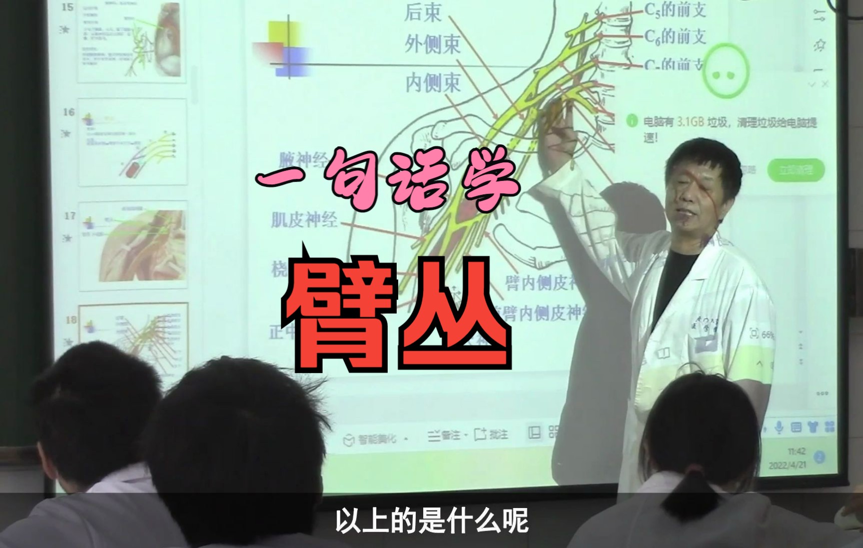 一句话学臂丛分支 肌皮、正中、桡、尺、腋。根、干、股、束
