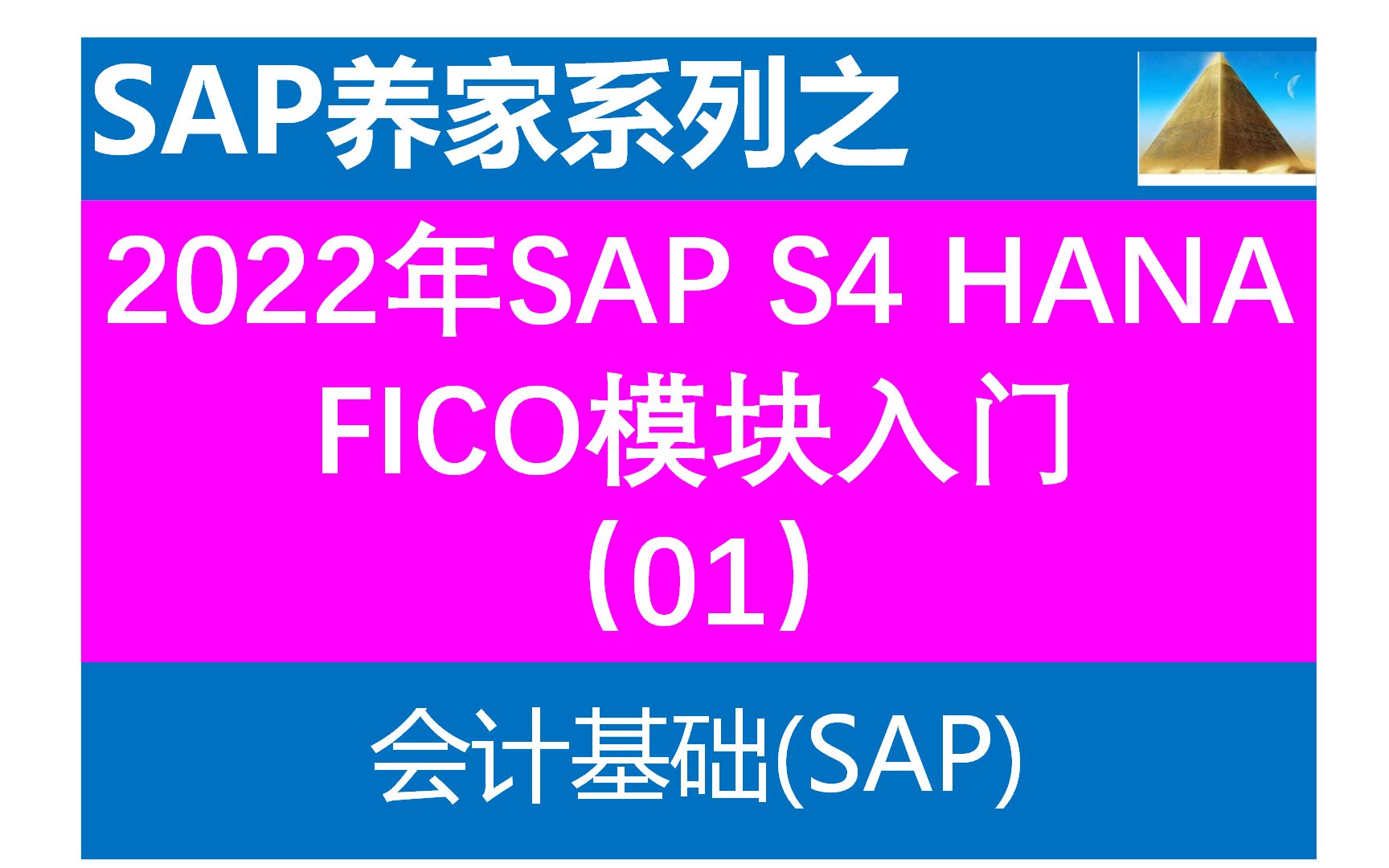 ...SAP FICO SAP MM SAP PP SAP SD SAP ABAP SAP入门 SAP学习