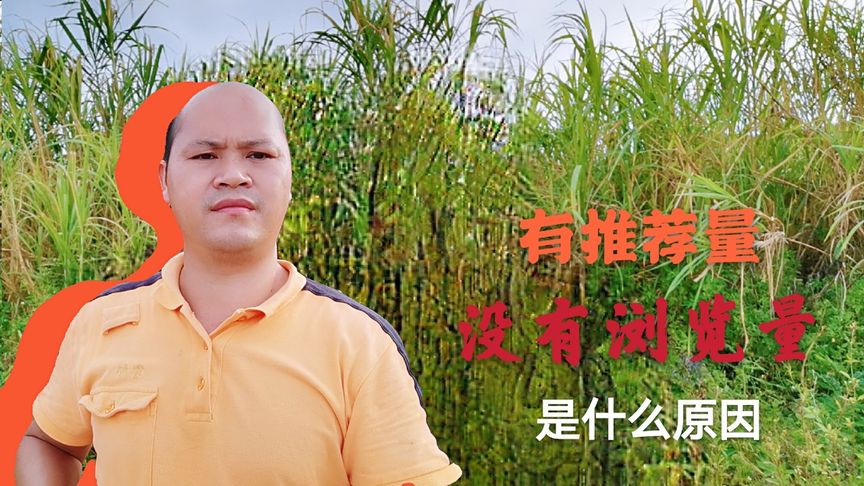 做自媒体怎样提高推荐量,有推荐量没有浏览量,是什么原因呢