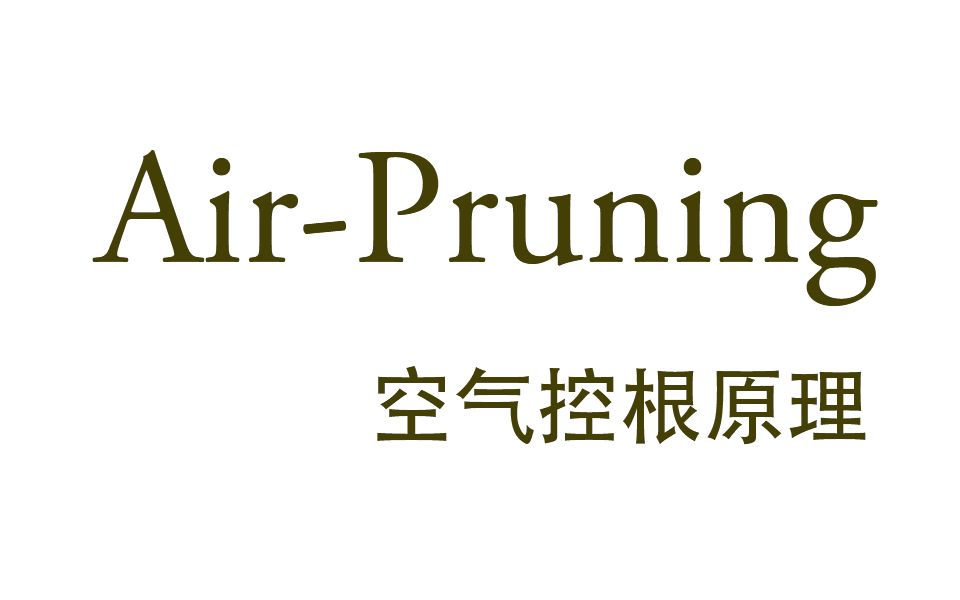 Air-pruning 空气控根原理 教你养出发达的根系