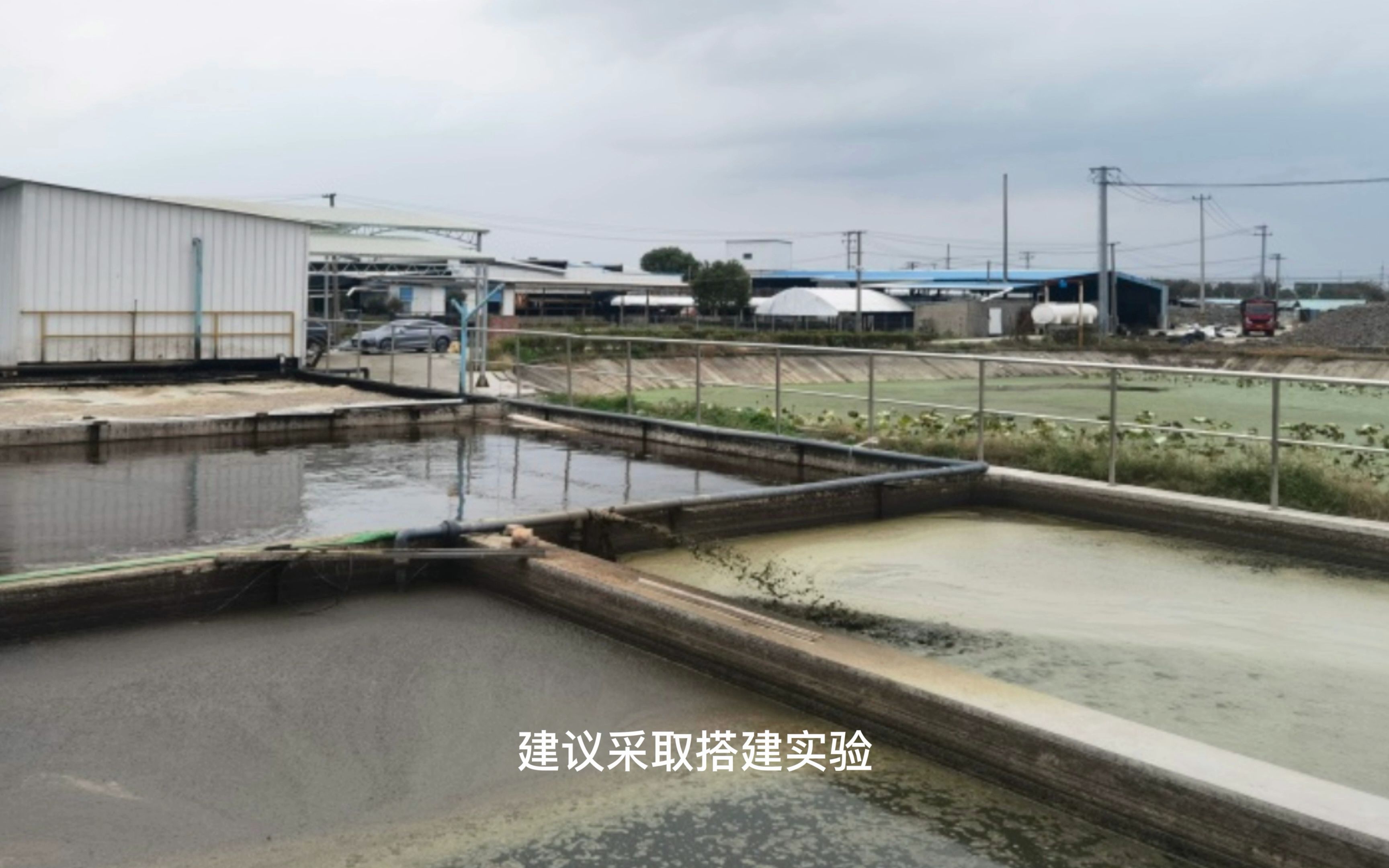 养牛企业废水COD超标生物处理方案