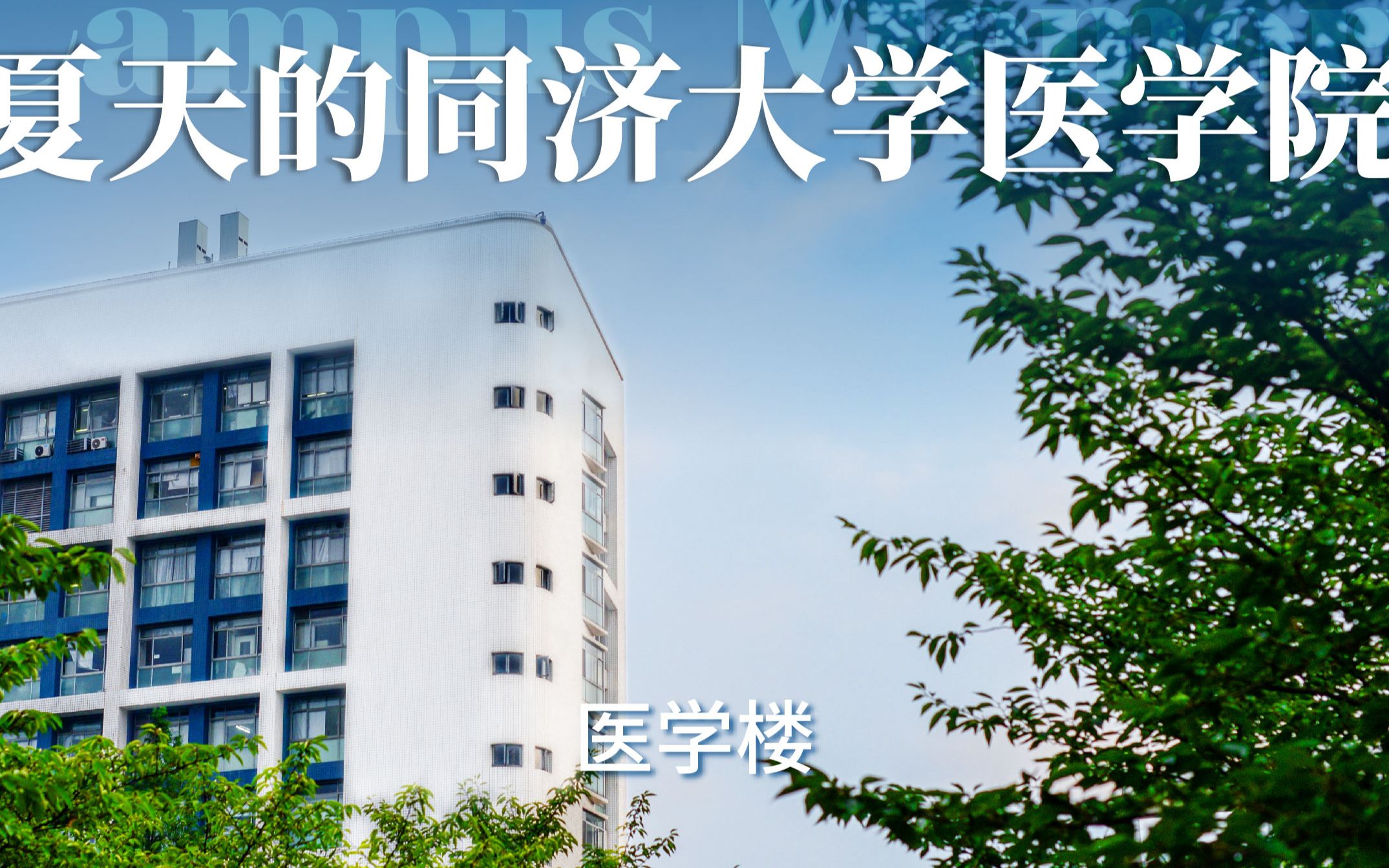 上海正式出梅后的第一天,我们走进了夏天的同济大学四平路校区