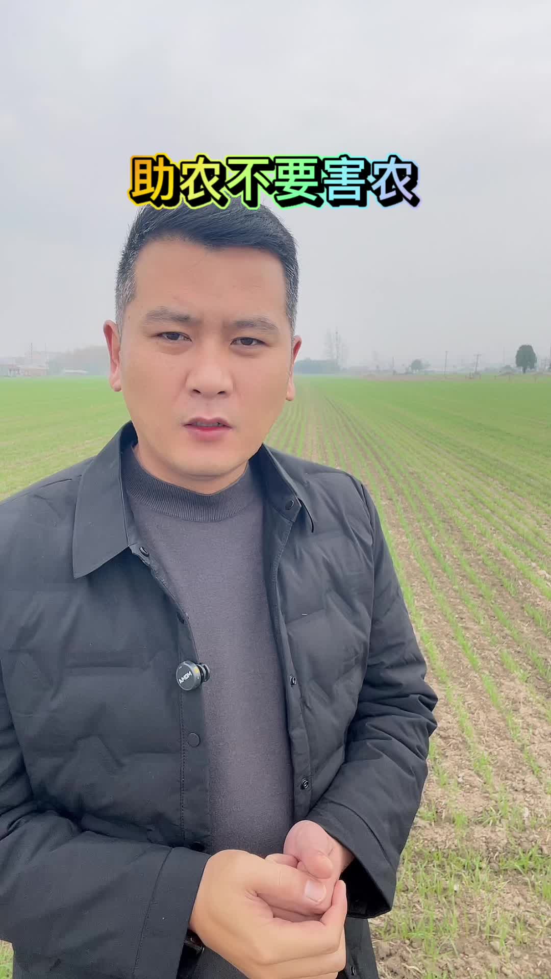 ...不玩套路,不欺农户 #分享农业知识帮农民增产增收 #小麦种植 #小麦...