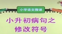 小学语文 小升初提分必学 病句修改大全 第8集 小升初病句之修改符号