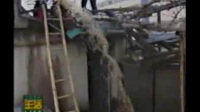 中央电视台(武汉水污染事件)