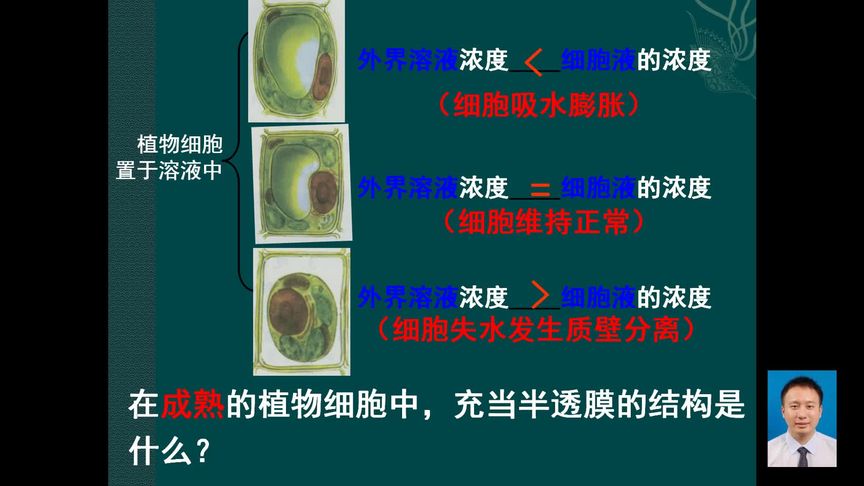 第三章 细胞的代谢 第三节课11班