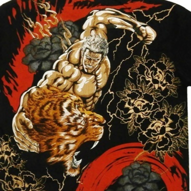 天霸猛虎拳 