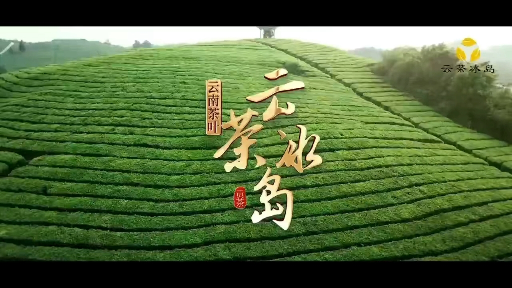 云茶国际交易中心是经云南省政府批准成立,在云南省商务厅、农业厅...