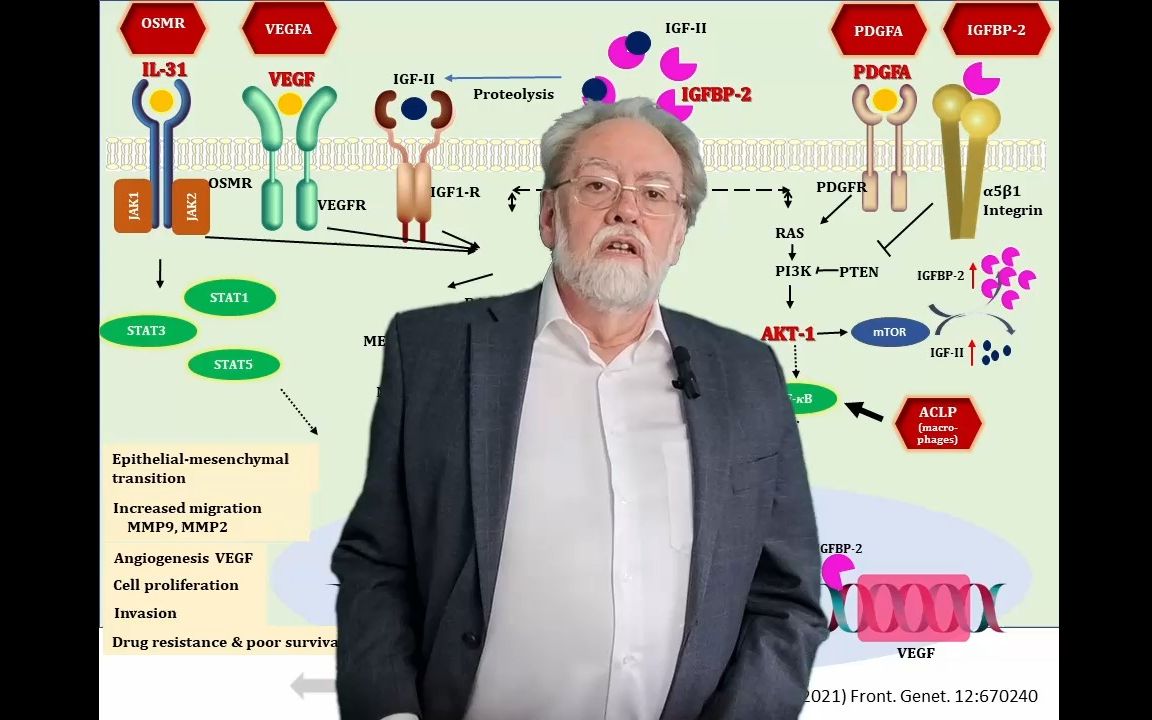 应用生物信息学讲座01: 网络和图表--当生物学遇上数学