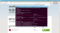 ubuntu下如何更新flash插件
