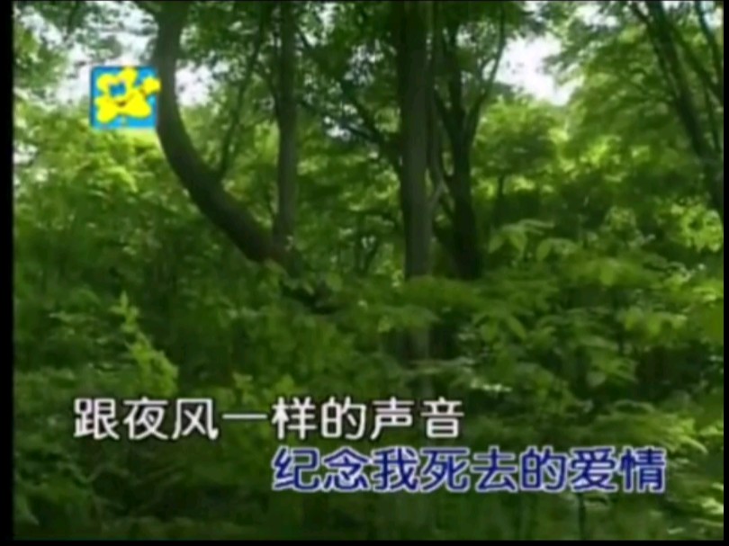 周杰伦 - 夜曲(爱乐唱片)注:MV上面是2版,MV下面是1版。