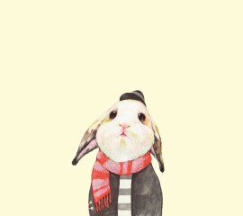 四柚君 