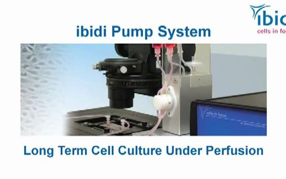 【实验仪器】 Ibidi流动泵系统——在灌注条件下长期培养细胞