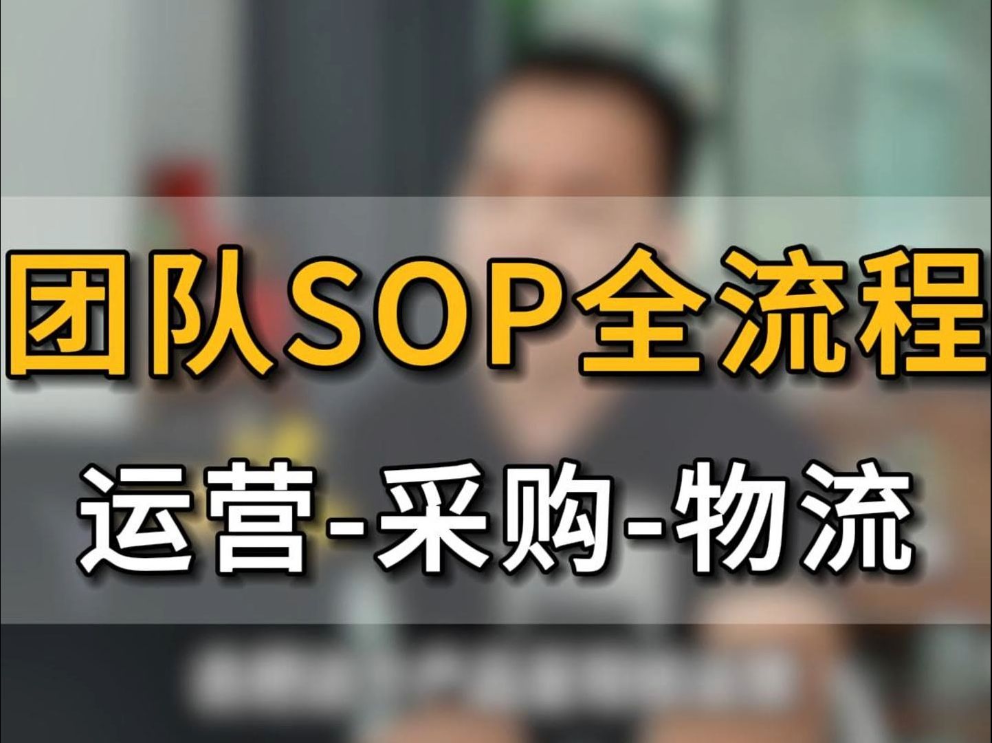 跨境电商公司团队管理SOP全流程分享 开发-运营-采购-美工-物流#五爷...