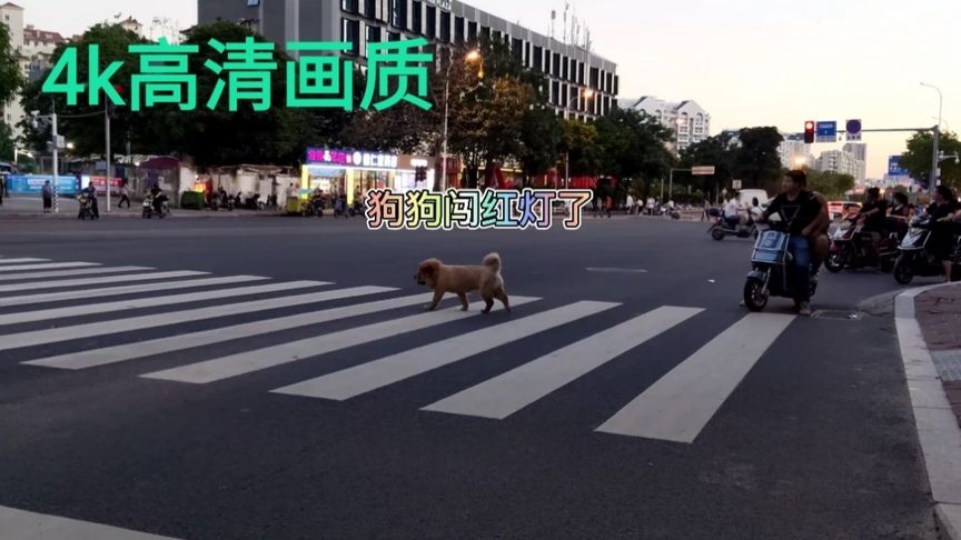 4k60帧拍的高清画质,4k对手机功能要求比较高,视频效果会怎样