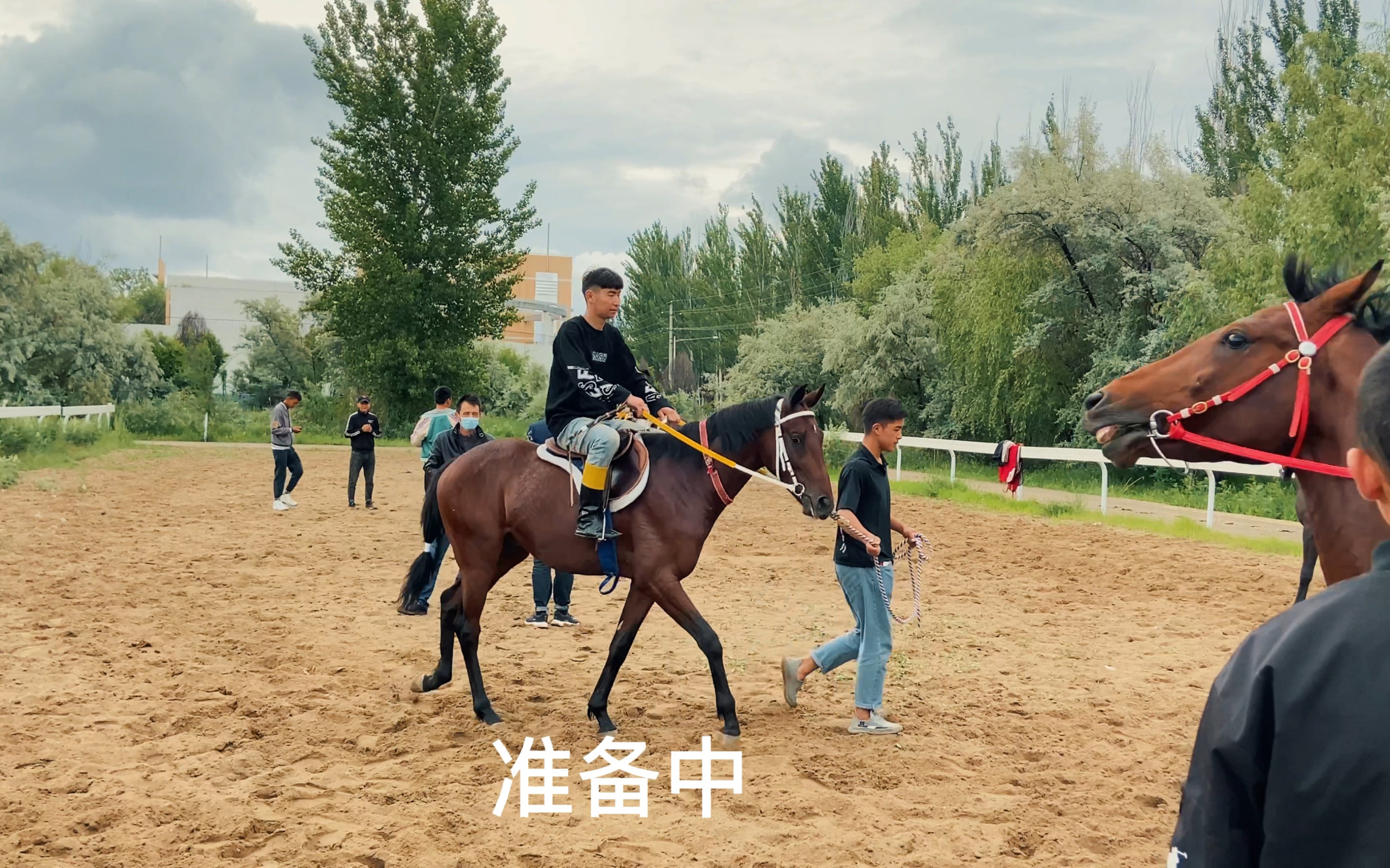 新疆伊犁州赛马场 马友自发组织的比赛,无敌伊犁马崽勇夺冠军(四公里...