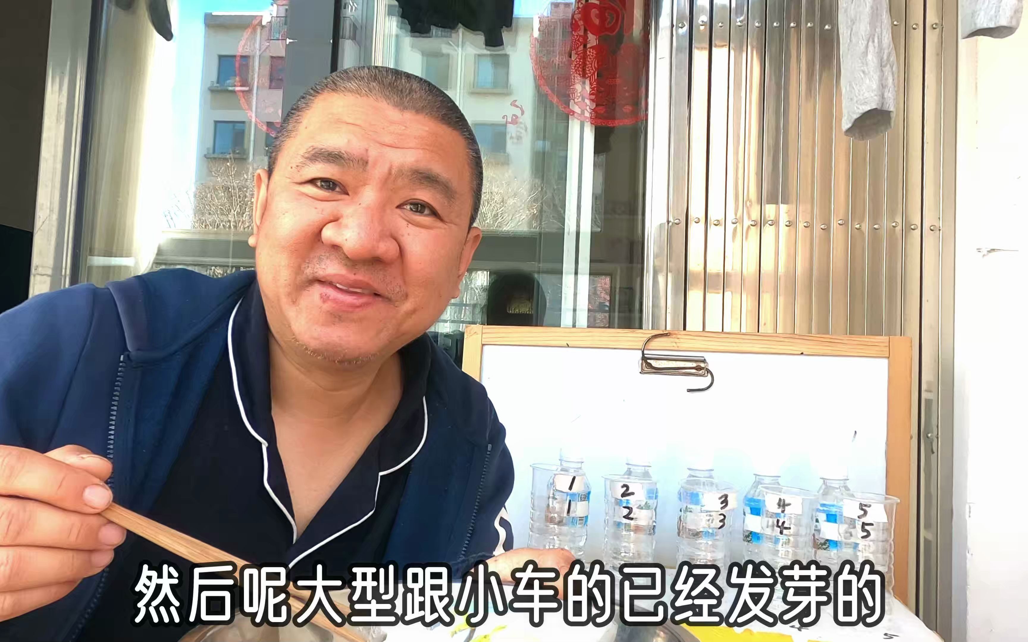 植物生长激素对比测试:HB-101,绿比多,芸苔素,生根粉