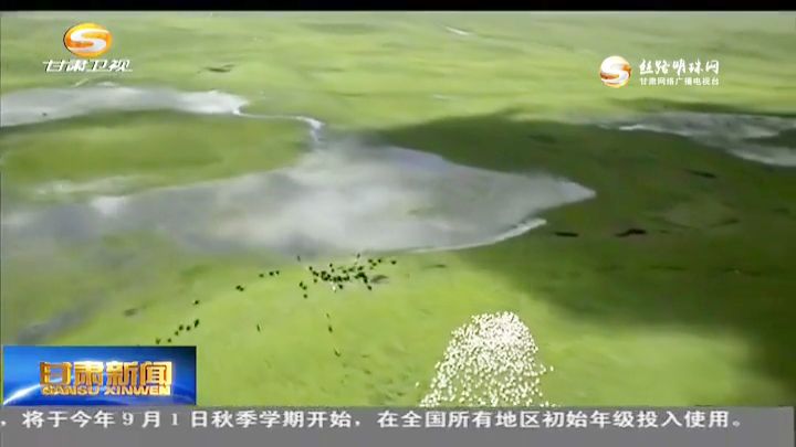 弘扬塞罕坝精神 建设最美丽中国—塞罕坝报道在甘肃引起热烈反响