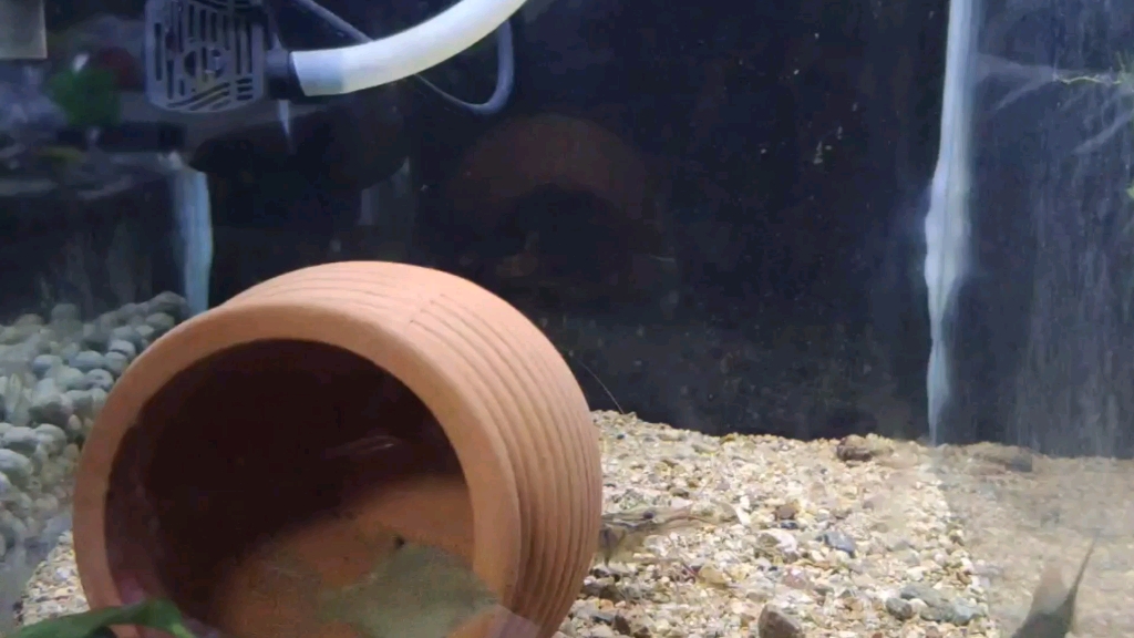 交流水泵和直流水泵怎么选,测试结果有点意外!