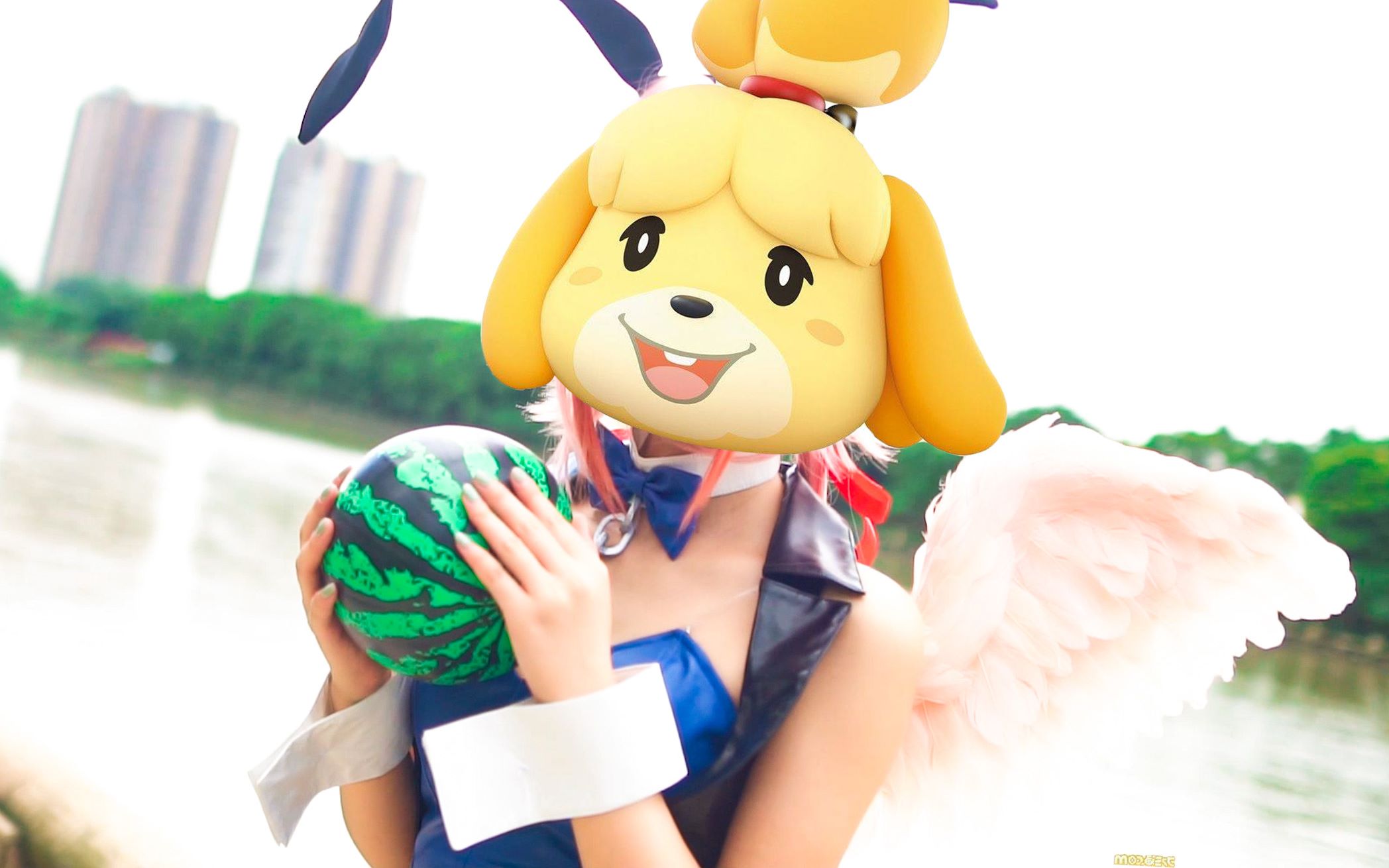 坐上我飞机,带你去漫展岛~动物森友会BGM