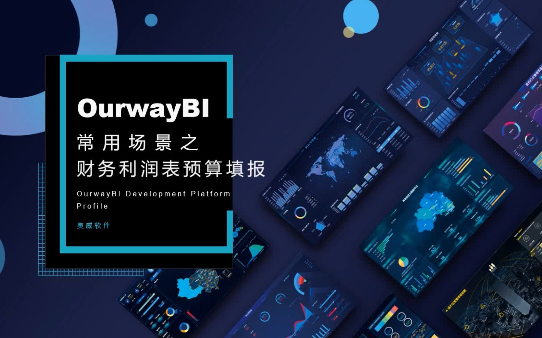 奥威BI数据填报之财务利润表预算