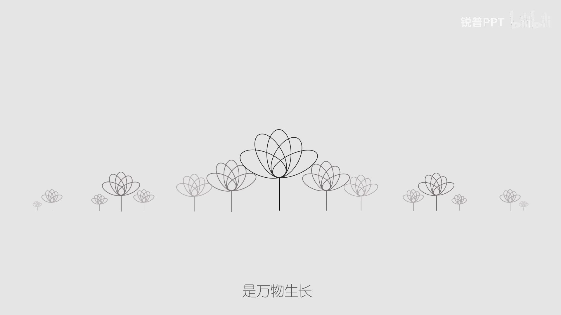 PPT · 动画作品混剪