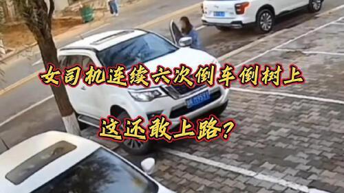 女司机倒车六连撞树!这技术还敢开车上路?