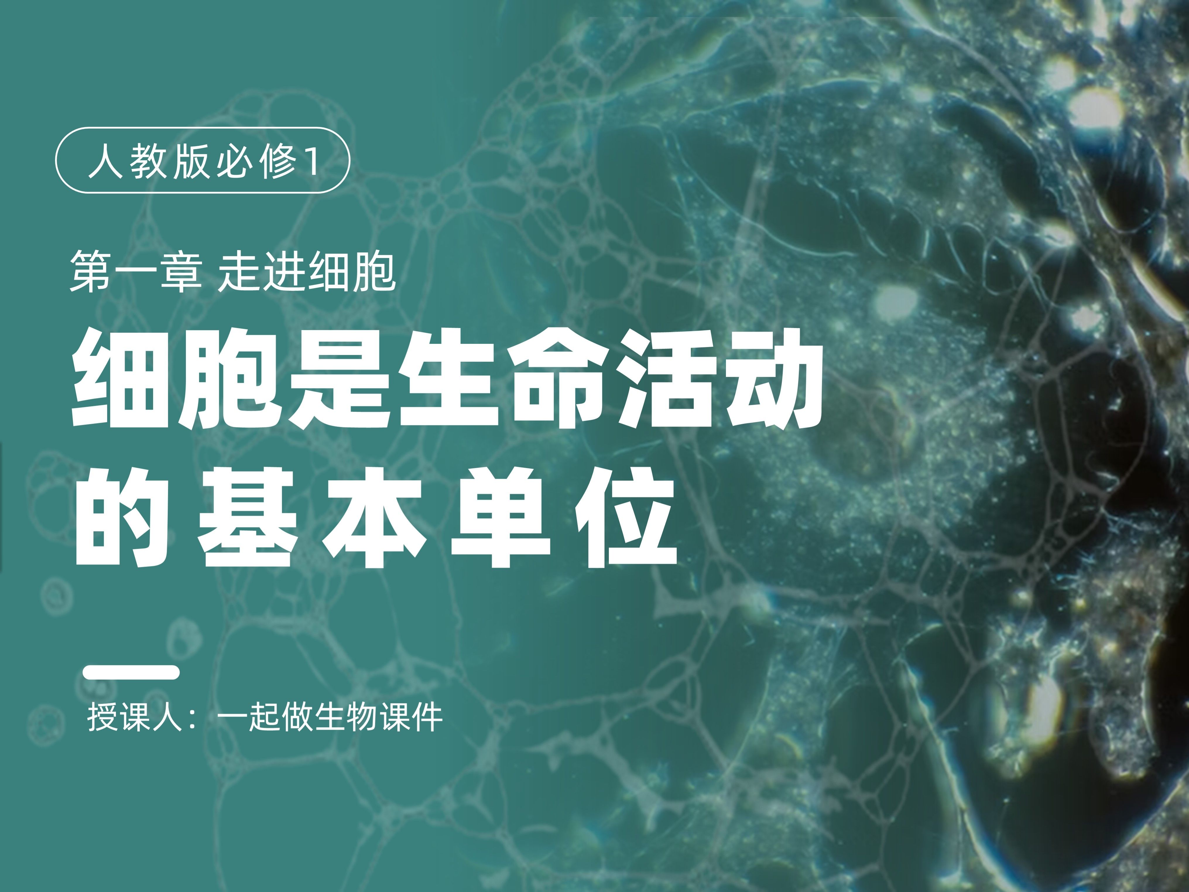 精品高中生物复习课件 | 必修一《细胞是生命活动的基本单位》