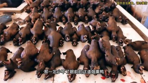 印尼这道美食你敢吃吗