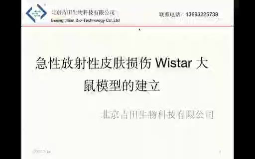 急性放射性皮肤损伤 Wistar 大鼠模型的建立科普