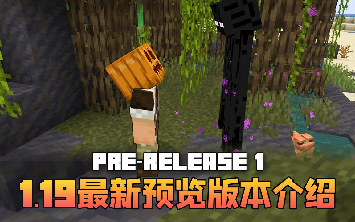 ★我的世界★籽岷的1.19 Pre-1最新版本介绍