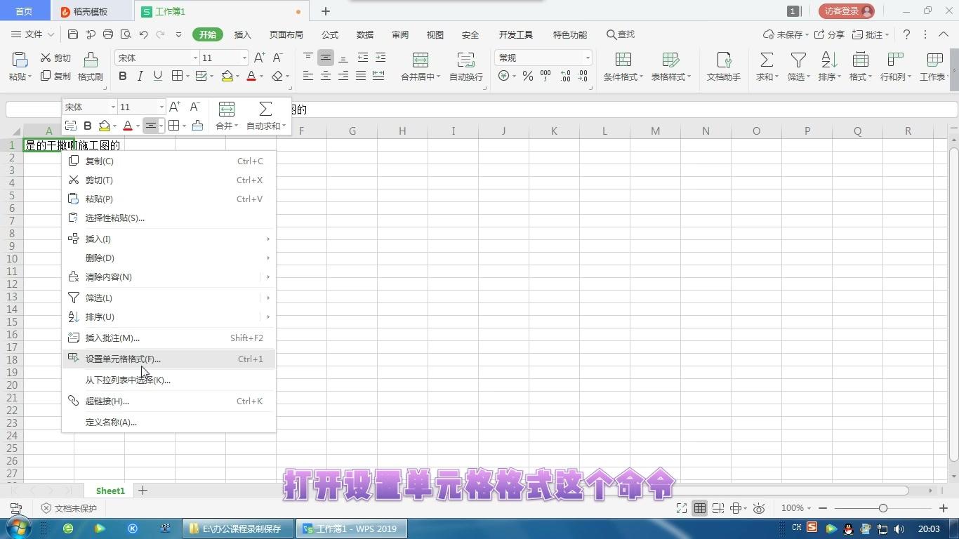 wps表格输入文字换行