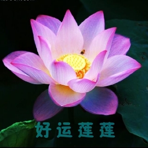昌盍 