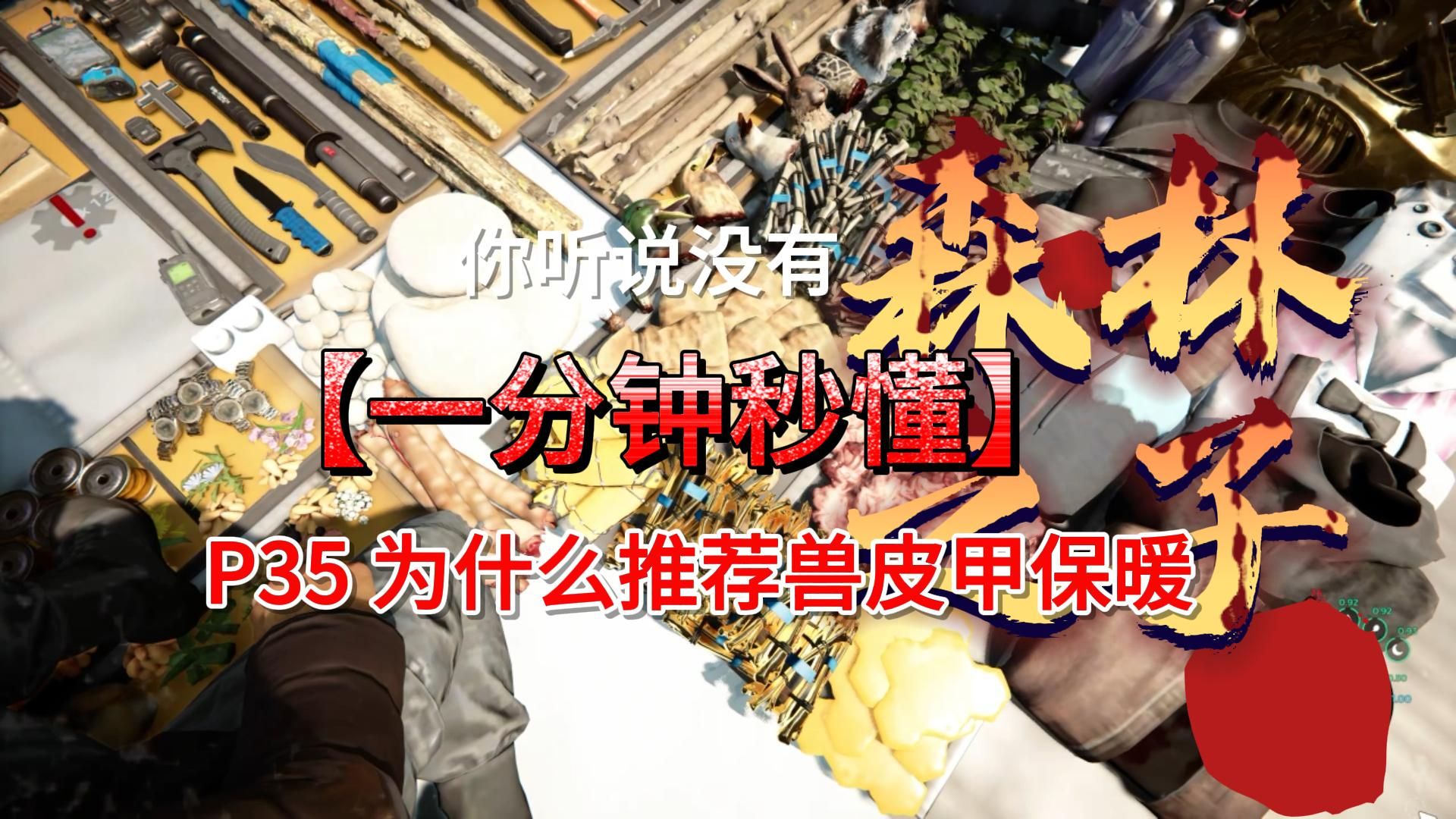 森林之子正式版全物品P35:我为什么更推荐兽皮甲而不是冬季外套_...