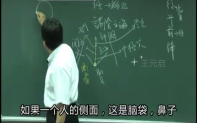 倪海厦讲解,人体气血的流注方向