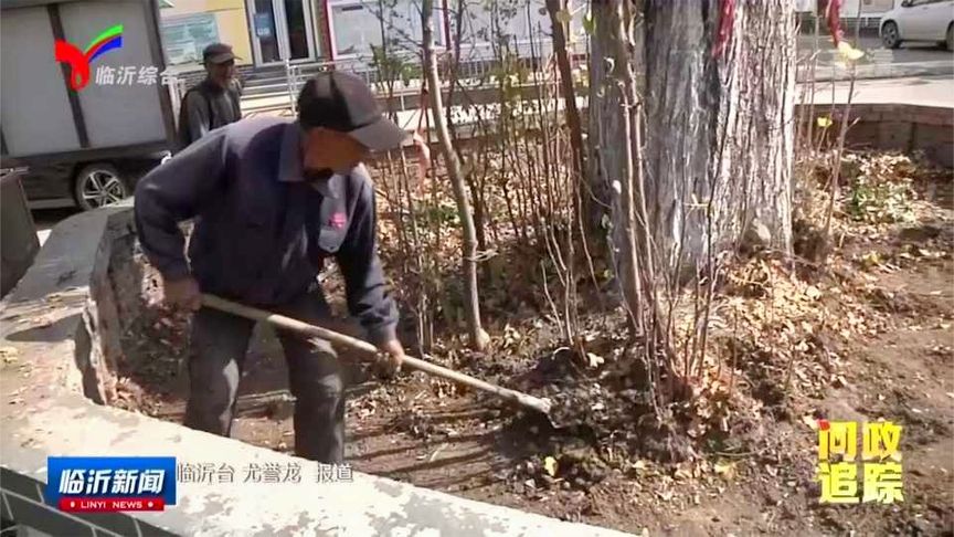 问政追踪|临沂:多方面加大古树保护管理力度