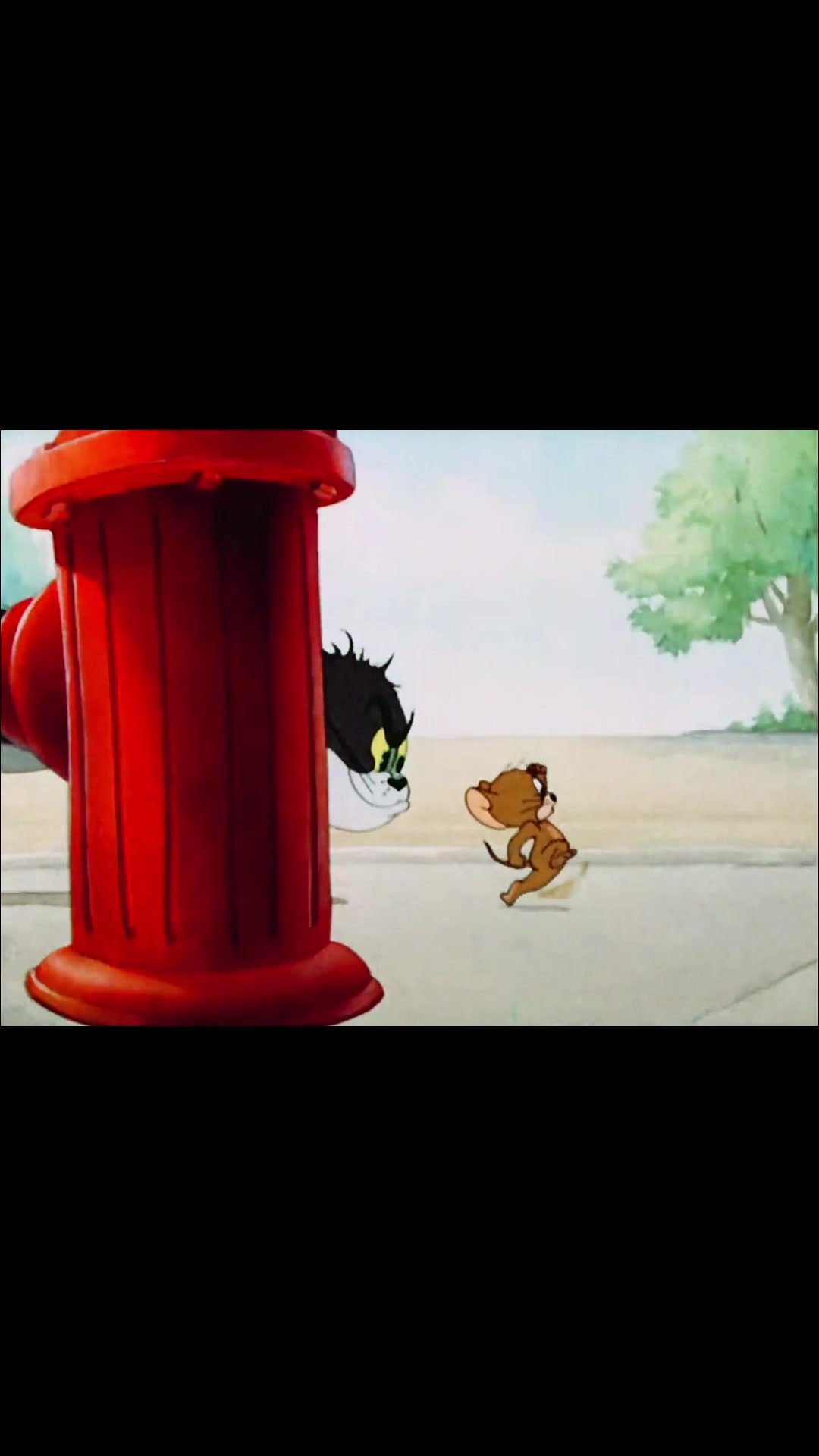 猫和老鼠 #猫和老鼠 #怀旧动画 #搞笑动画 #童年动画