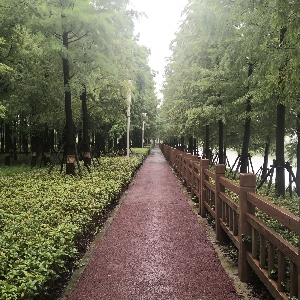 默默耕耘拓荒者 