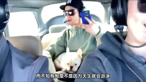 动物们在的状态下都有哪些表现人类又在其中学到了什么呢