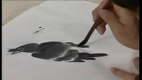 国画鸟的画法视频国画鸟的画法教程