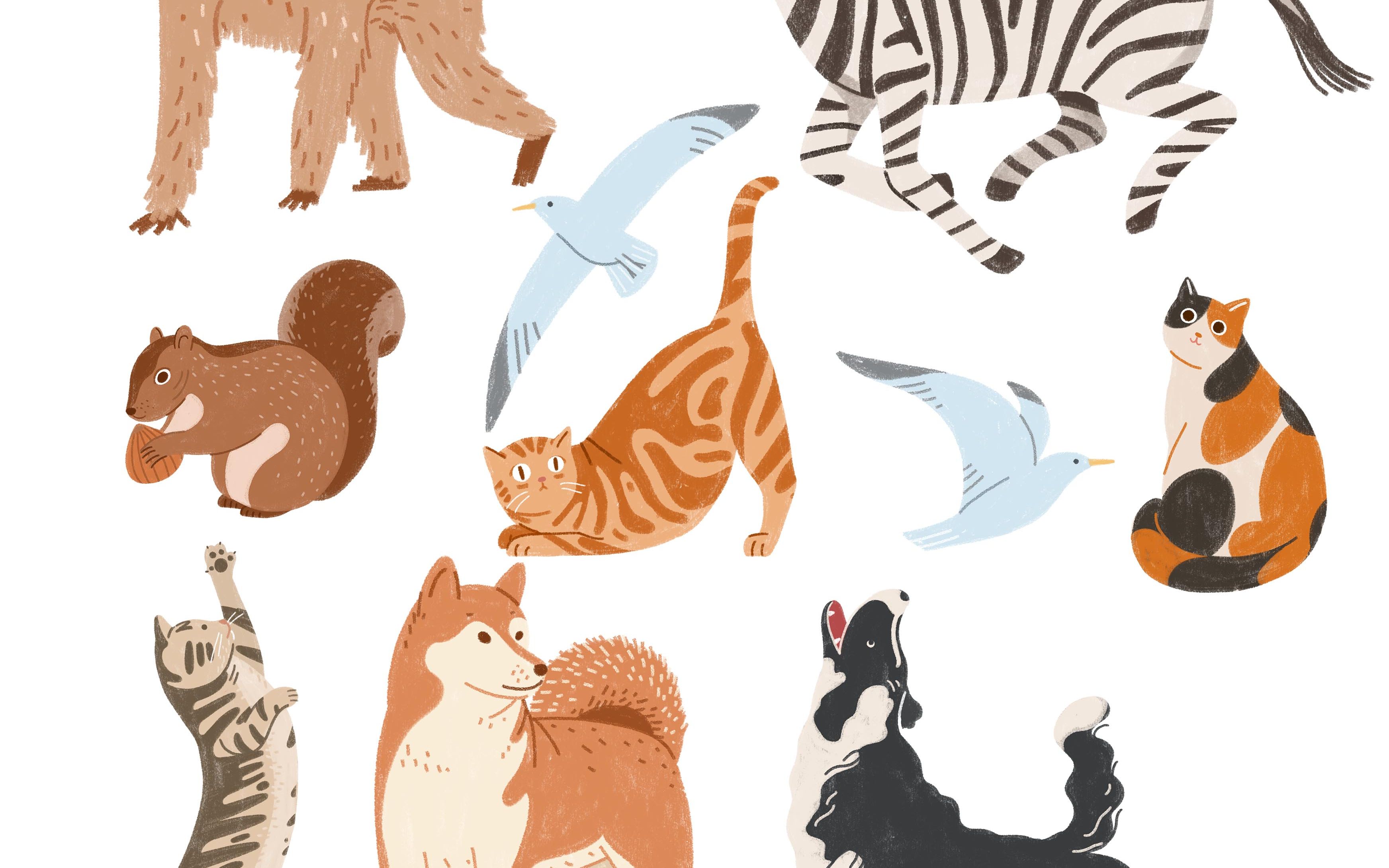 【ps插画板绘】 小动物-插画过程分享