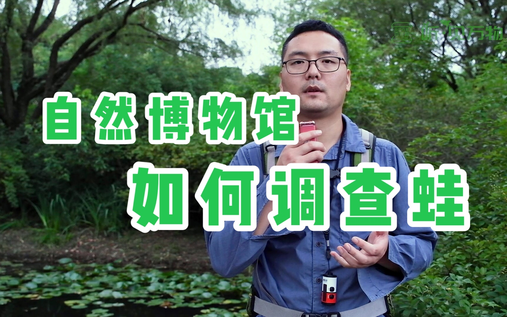 【听见万物 · 你好蛙】自然博物馆如何调查蛙类多样性?