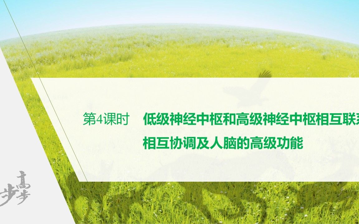 ...低级神经中枢和高级神经中枢相互联系、相互协调及人脑的高级功能